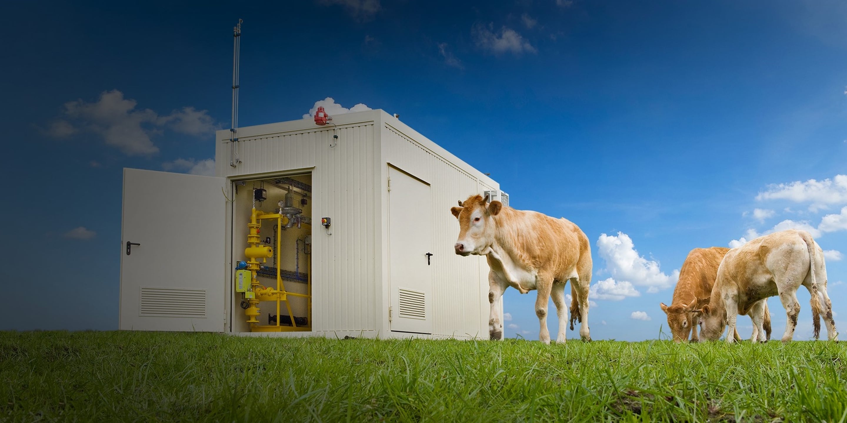 Renewable Gas Grid Injection